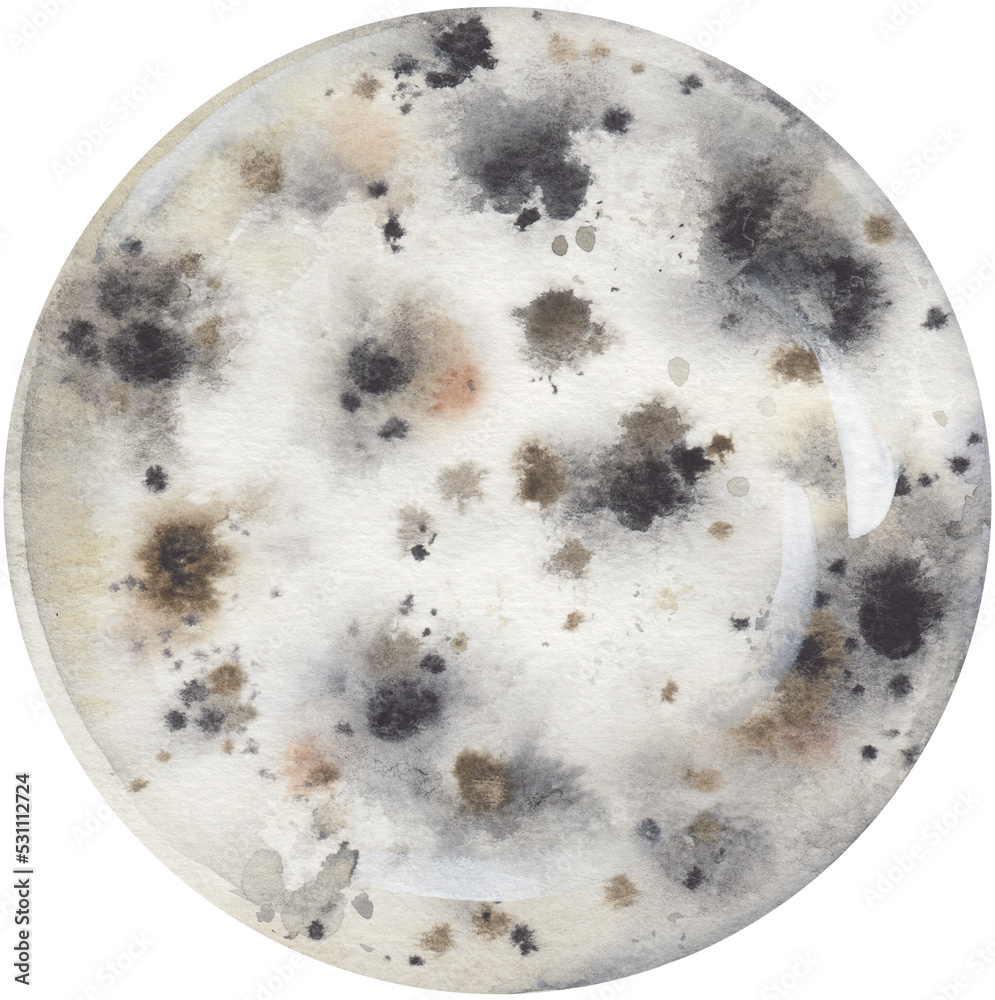 Transparent Background Dalmatian jasper Illustration Png. Transparent ...