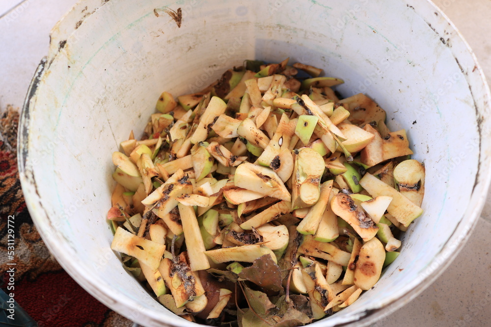 Spoiled, rotten, wormy apple slices with leaves and branches in a white ...