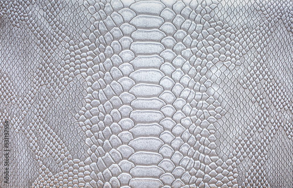 Beautiful white bright python skin, reptile skin texture, snake skin ...