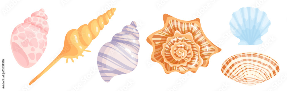 Collection of different mollusk shells.Cartoon vector graphics. Stock ...