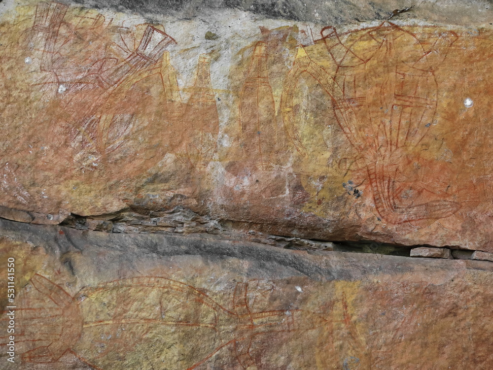 Aboriginal rock art: group of long neck turtles-barramundis-mullet ...