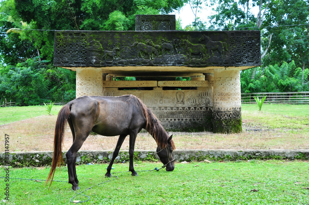 Horse grazing by an old traditional stone house, Sumba Island, Lesser ...