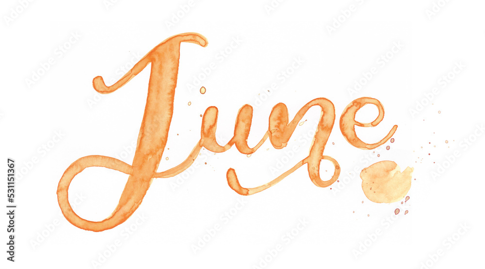 June month of the year in watercolor with splash letters and brush ...