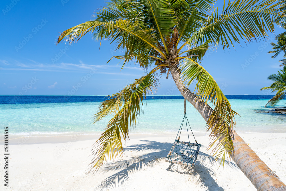 Swing on a palm tree on a tropical island in the Maldives Stock Photo ...