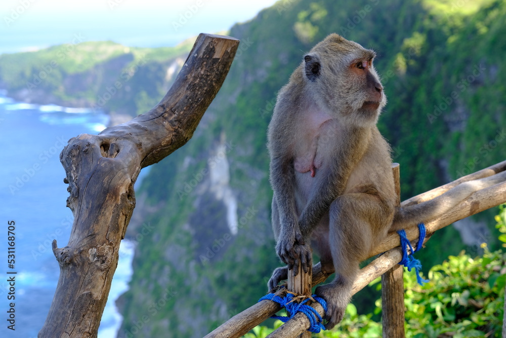 Foto de Indonesia Penida Island - Nusa Penida Kelingking Beach - Long ...