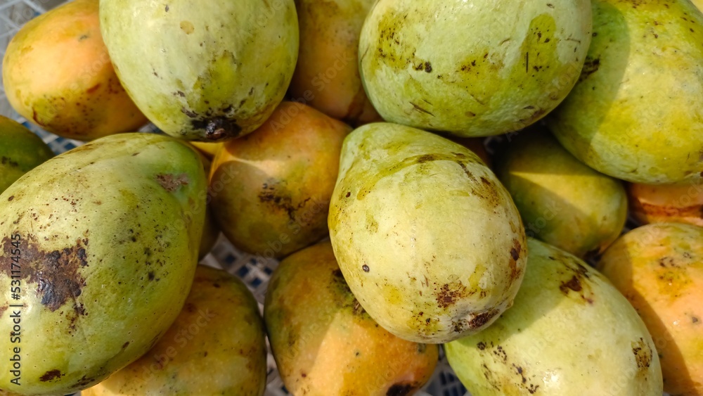 Gedong mango is green, bright orange and the texture of the flesh is ...