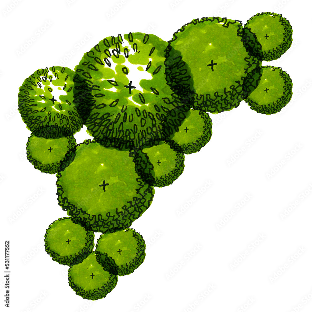 A set of Trees - top view. use in your landscape design. Stock ...