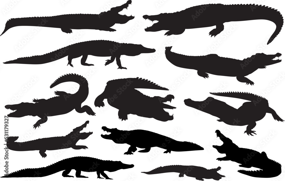 Alligator silhouette Stock Vector | Adobe Stock