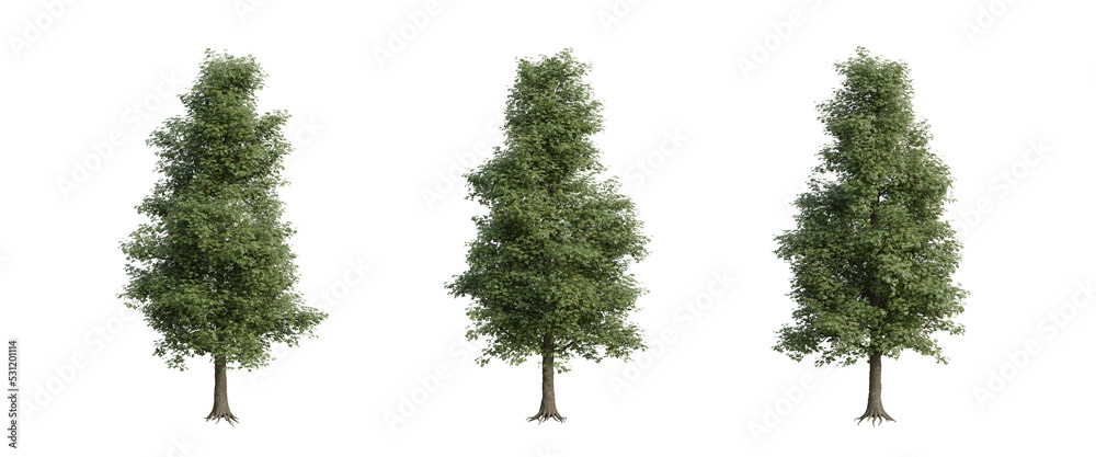 tree isolated on transparent background , tree 3d render Stock ...