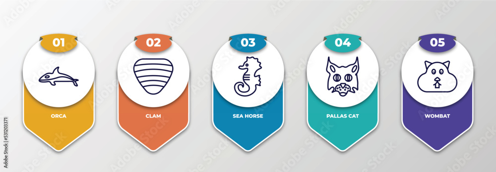 infographic template with thin line icons. infographic for animals ...
