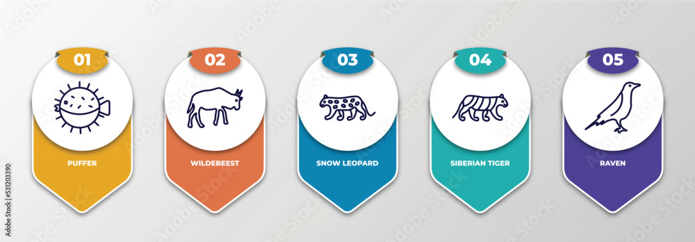 infographic template with thin line icons. infographic for animals ...