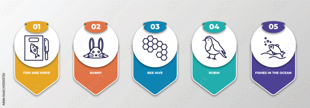 infographic template with thin line icons. infographic for animals ...