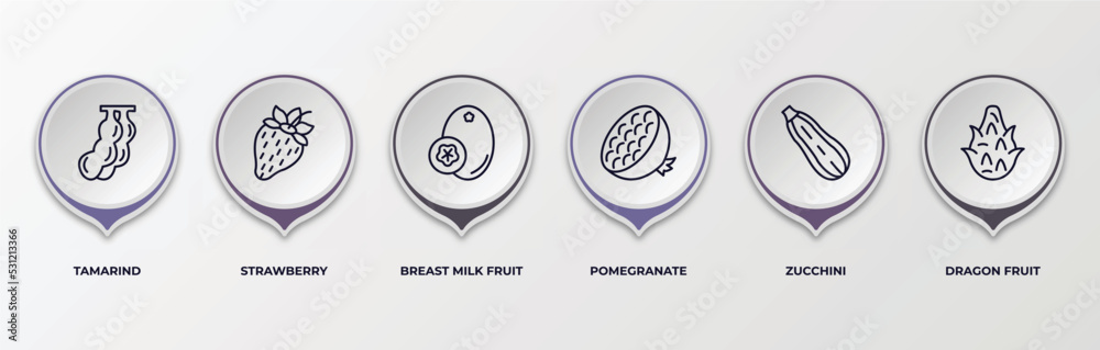 infographic template with outline icons. infographic for fruits and ...