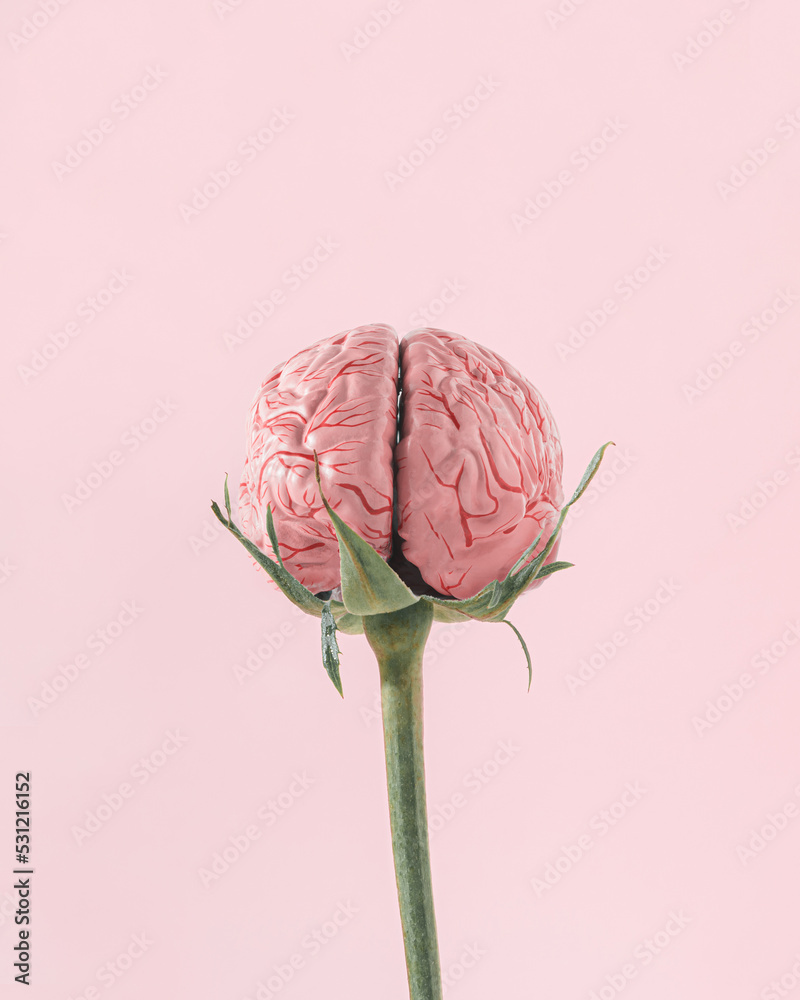 Rose stem and human brain on isolated pastel coral-pink background ...