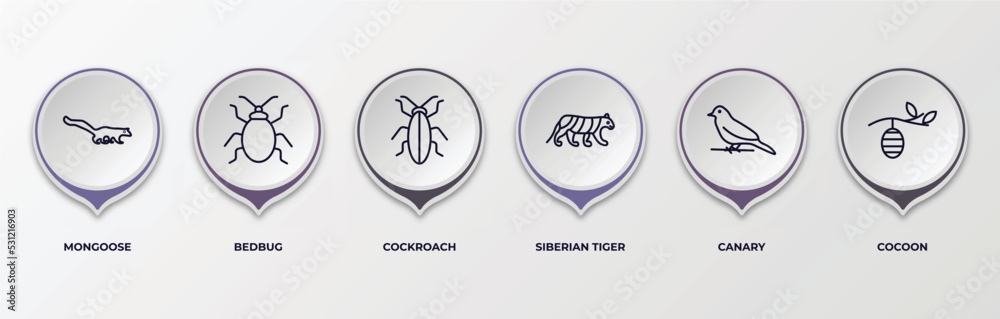 infographic template with outline icons. infographic for animals ...