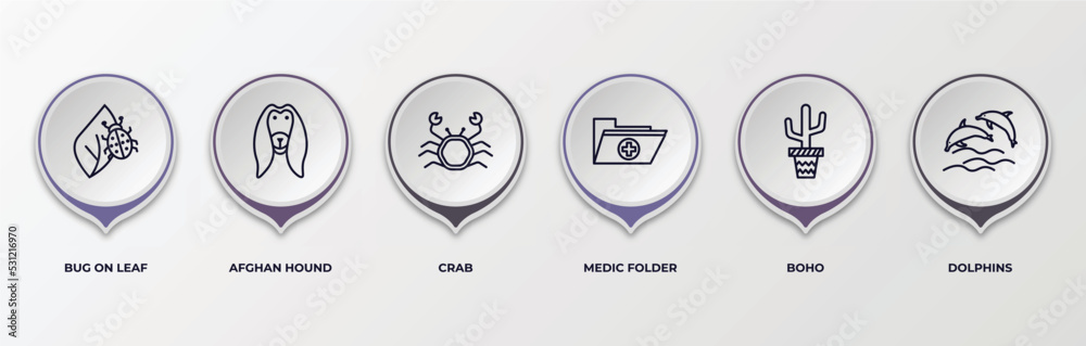 infographic template with outline icons. infographic for animals ...