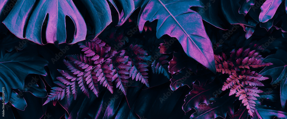 Tropical leaves, colorful of botanical nature background Stock Photo ...