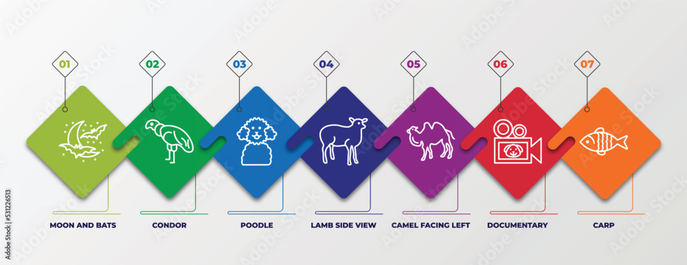 infographic template with linear icons. infographic for animals concept ...