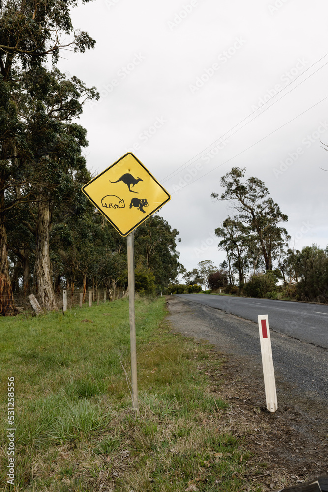 A yellow sign on the side of an Australian road warning traffic of ...