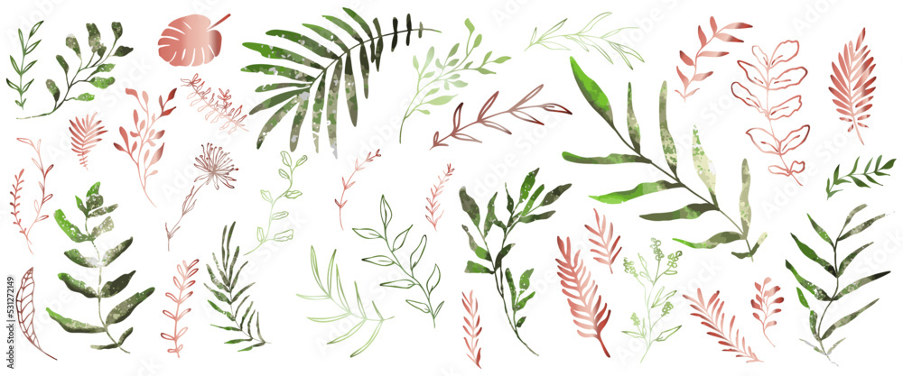 Hand drawn colorful plant set - universally usable. Botanical, chic and ...