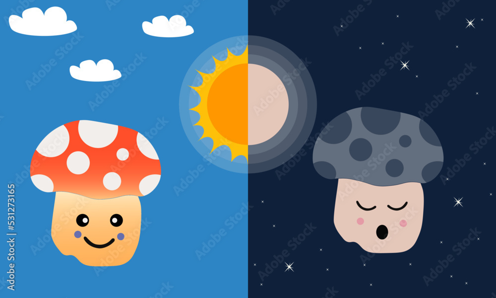 Fall equinox, autumn equinox, September equinox, spring equinox, summer ...
