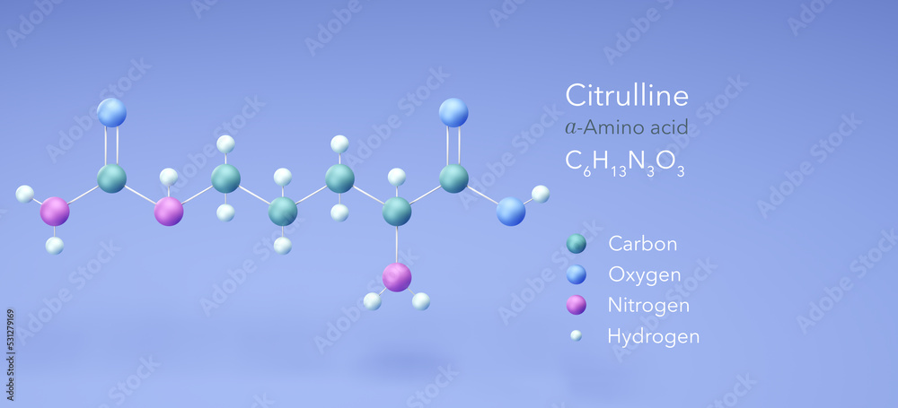 citrulline, molecular structures, amino acid, 3d model, Structural ...