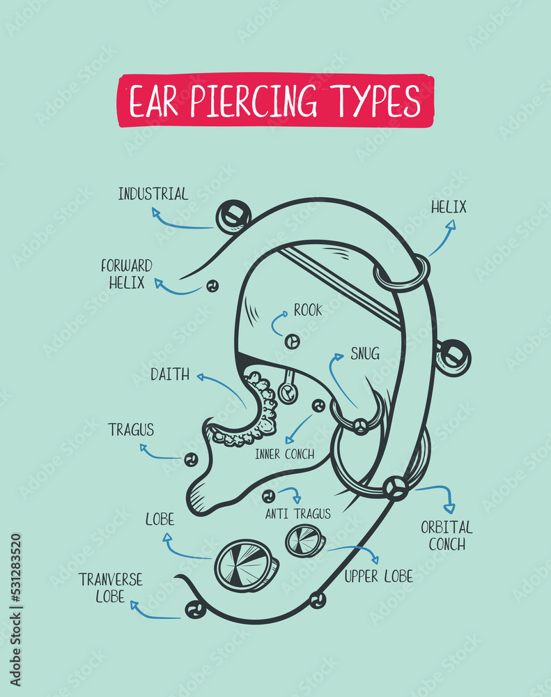 Ear piercing diagram. Top different types of ear piercing trendy ...