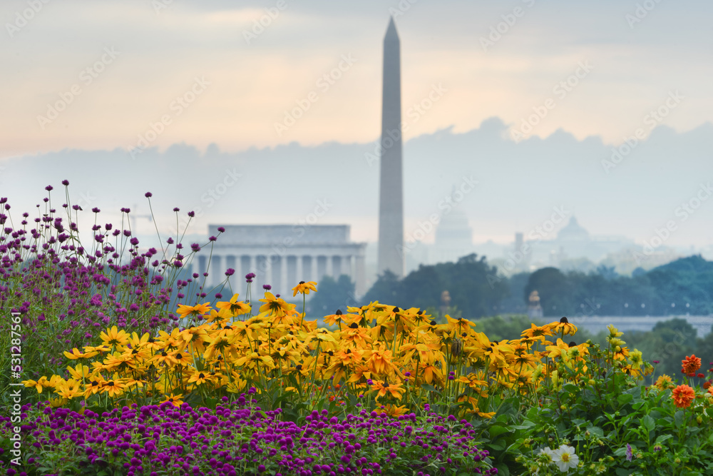 Washington D.C. skyline at sunrise with major monuments in view ...