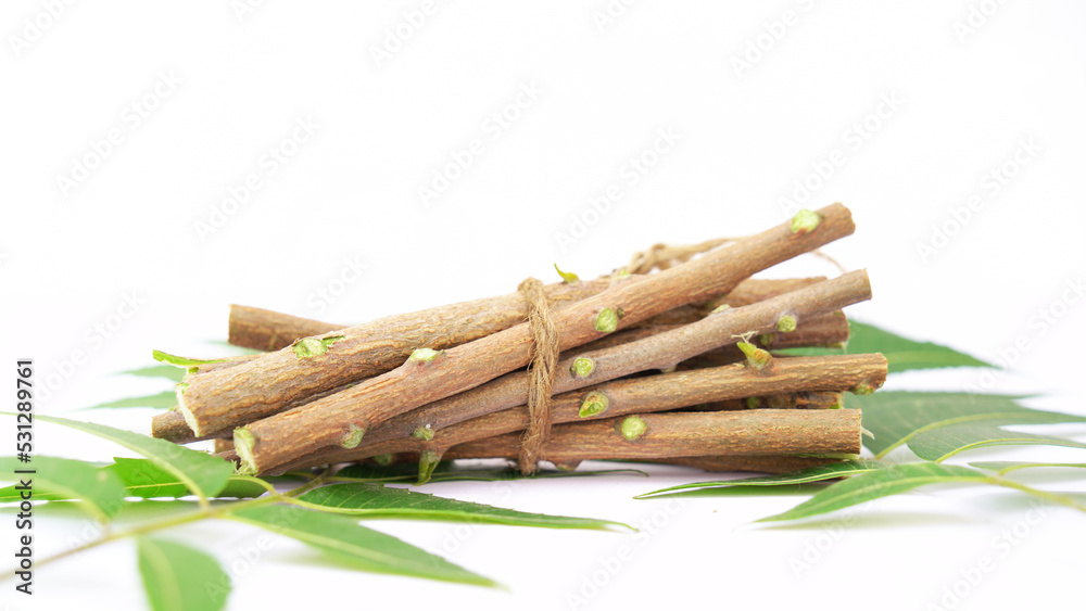 Medicinal neem twigs. Herbal neem leaves and branch over white ...
