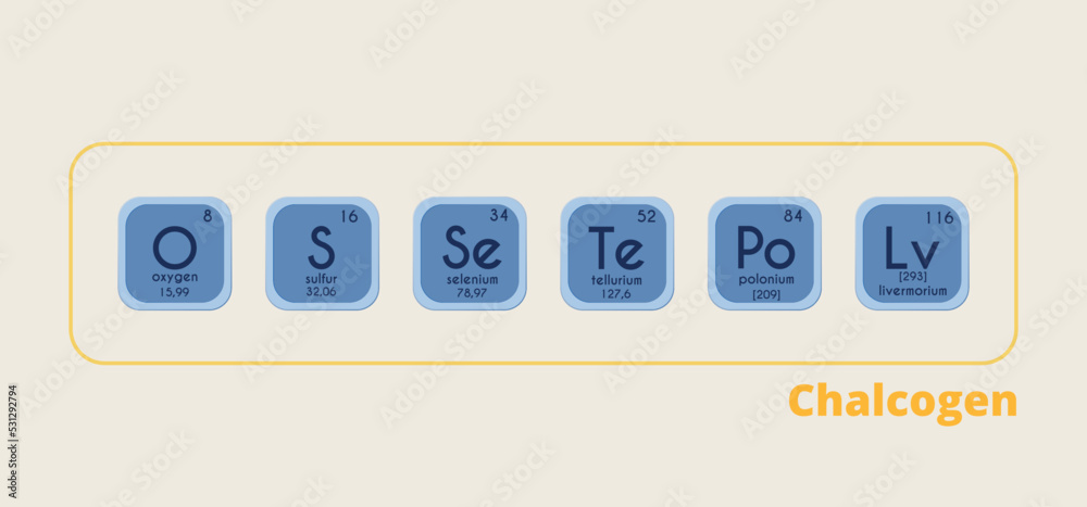 Chalcogens. The oxygen family. Periodic system of elements. Vector ...