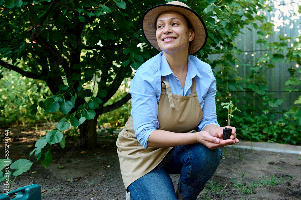 Beautiful middle-aged woman, farmer holding a germinated seedling of ...