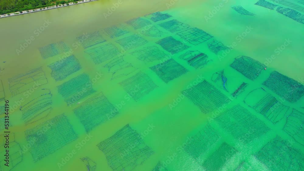Drones fly over a large mussel farm in Rayong. The seafood industry in ...