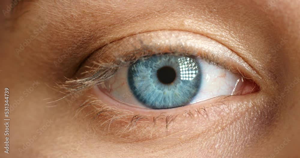 Eye, vision and health with the eyes of a woman in portrait and closeup ...