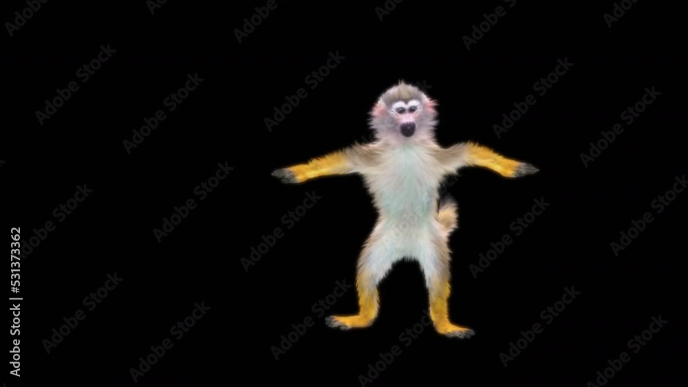 monkeys Dance CG fur 3d rendering animal realistic CGI VFX Animation ...