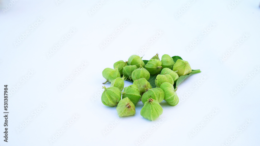 Ashwagandha Dry Root Medicinal Herb with Fresh Leaves, also known as ...