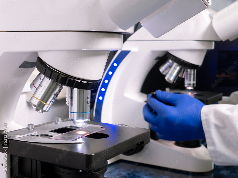 Two large microscopes in the laboratory, specimens under the magnifying ...