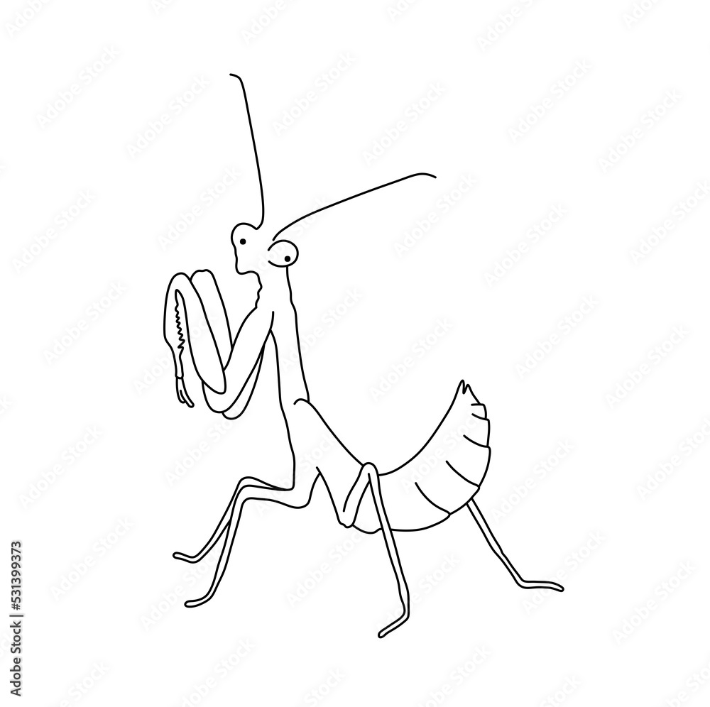 Vector isolated one mantis insect back view colorless black and white ...