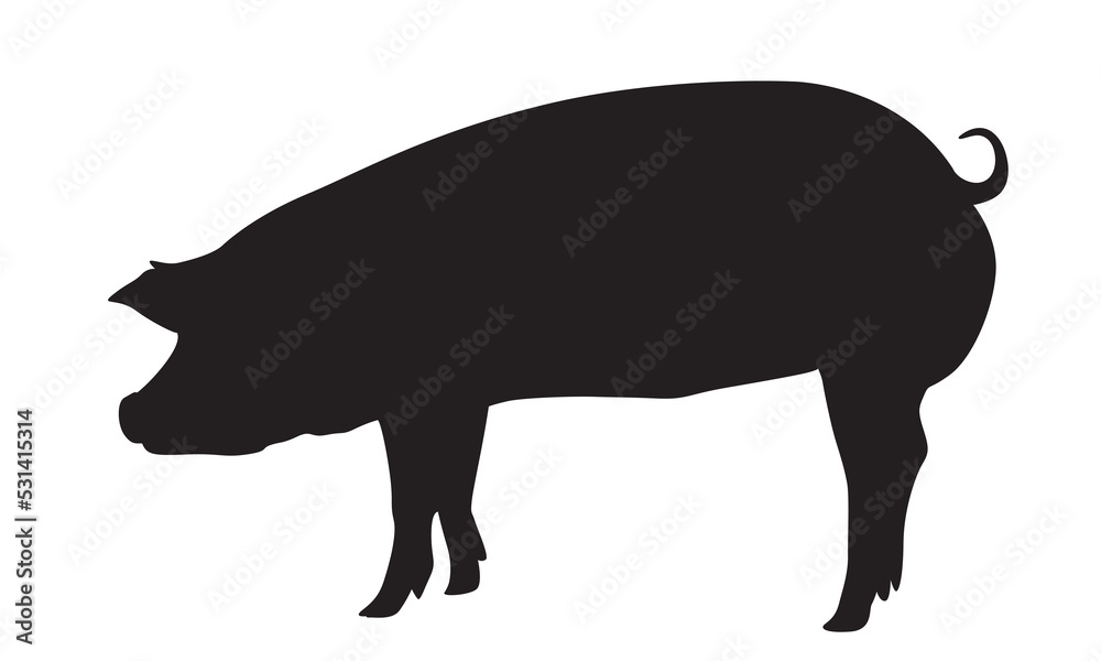 Pig Outline Vector