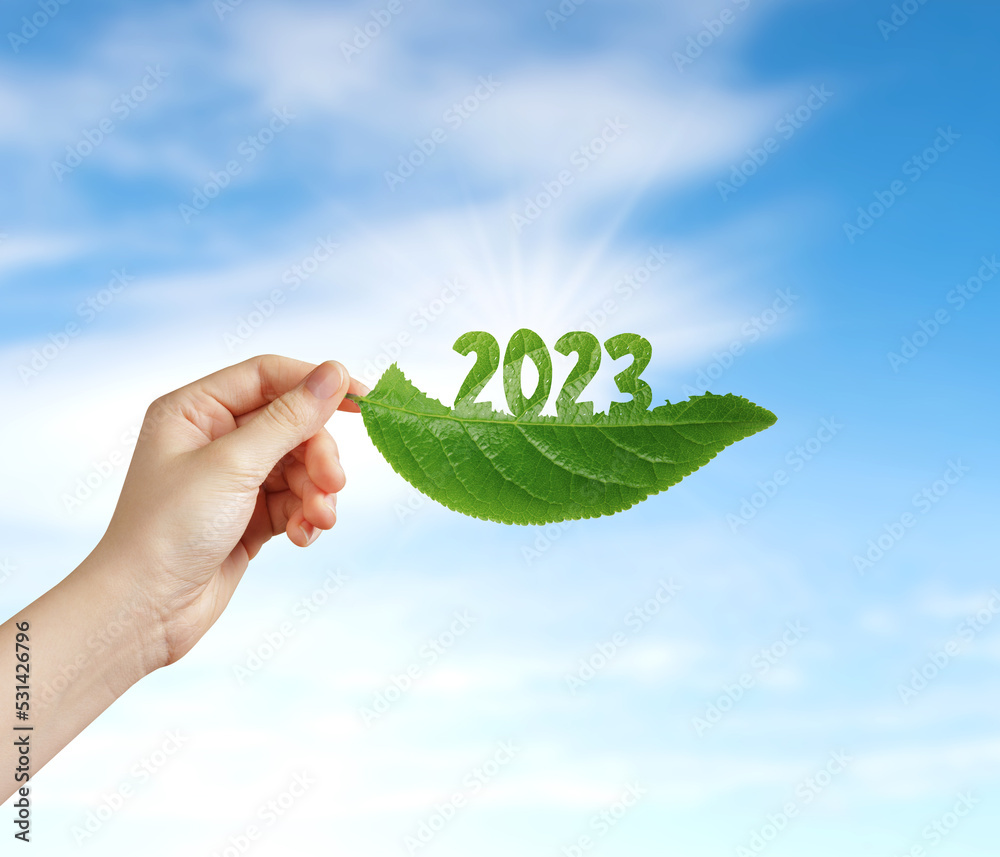 Hand holding leaf 2023. New Year 2023 green recycling and saving our ...