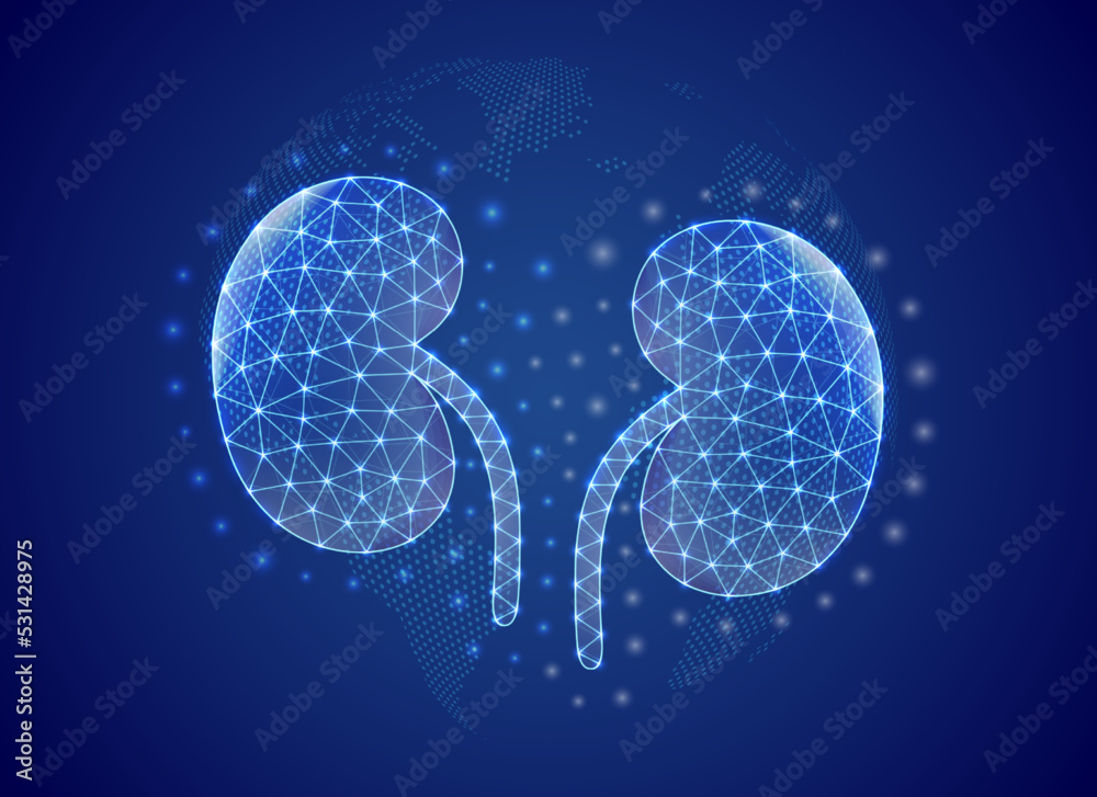 Kidneys 3d low poly symbol with blue world map background. Urinary ...