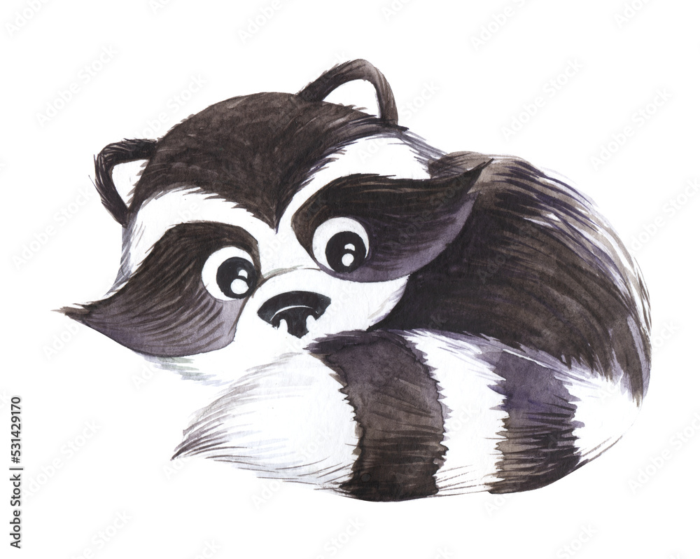 Illustration decorative element. Small black and white raccoon curled ...