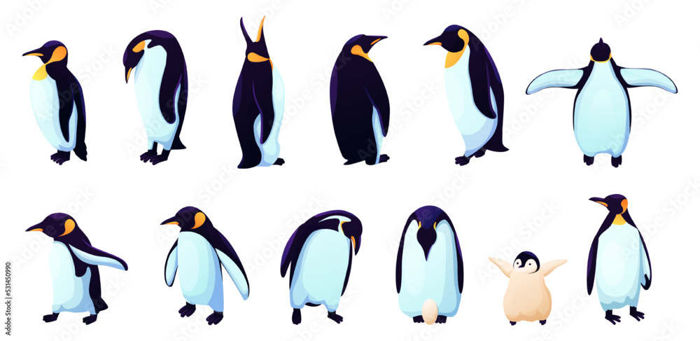 Penguin family, black Antarctica animals in different poses. Realistic ...