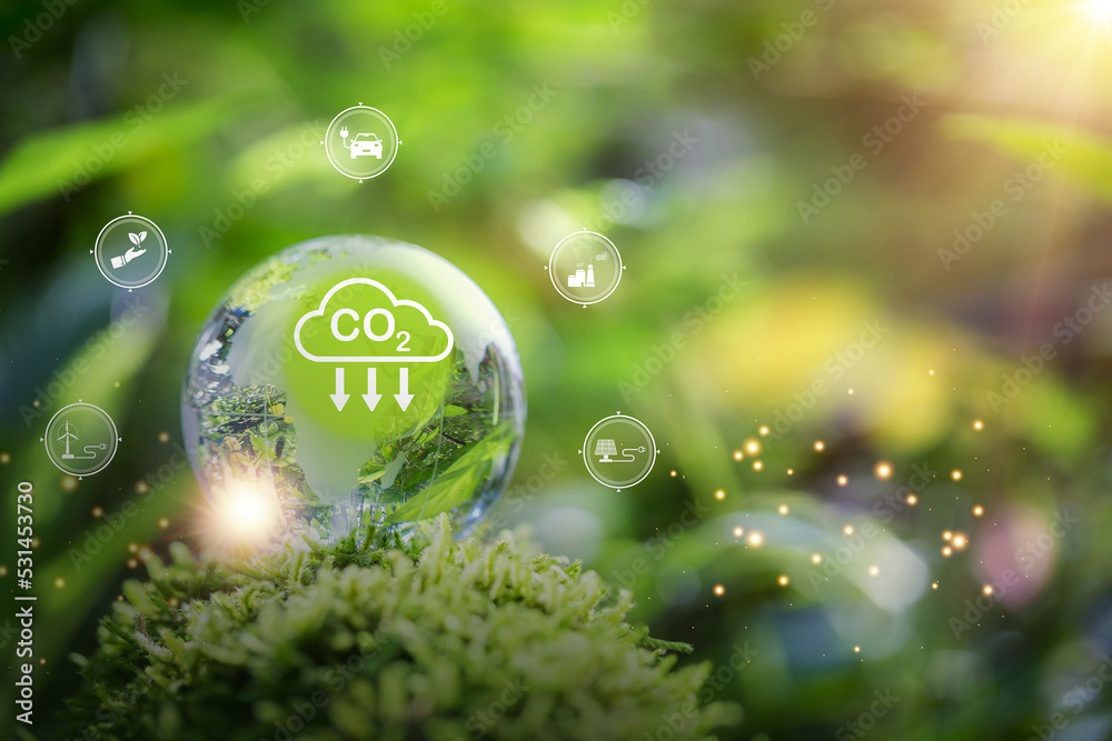 Developing sustainable CO2 concepts and Reduce CO2 emissions and carbon ...