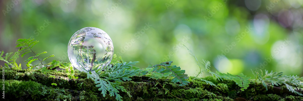 Globe planet glass in green forest with bokeh nature lights. world ...