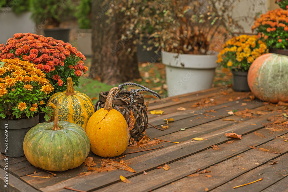 Autumn pumpkins at garden, decor and design for home, ideas for pretty ...