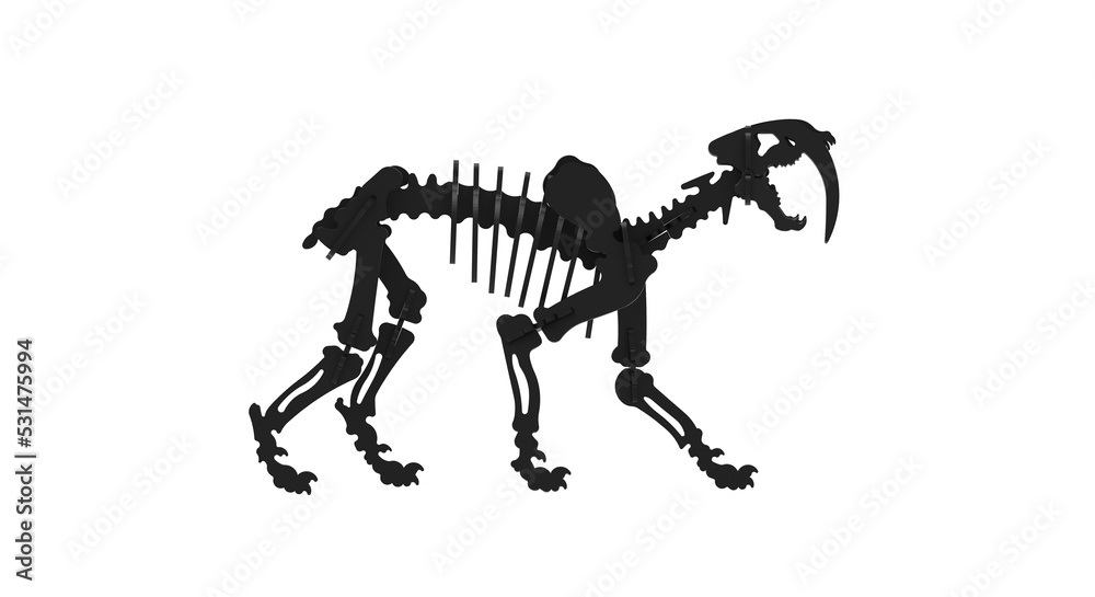 3D rendering of a Smilodon skeleton or saber toothed tiger a genus of ...