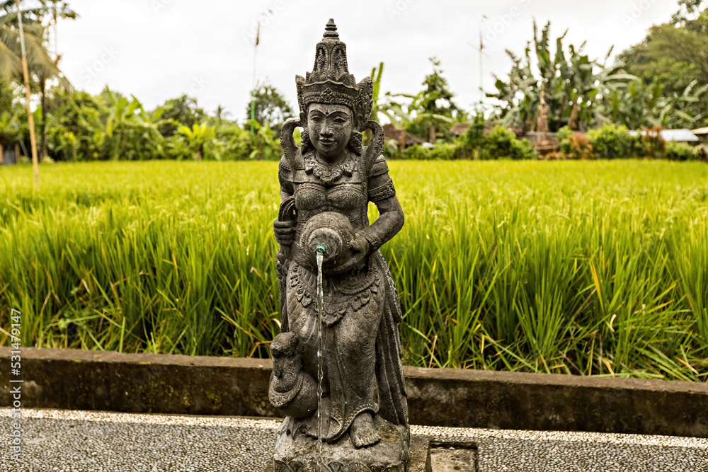 Goddess Statue in Bali indonesia garden with rice field background ...