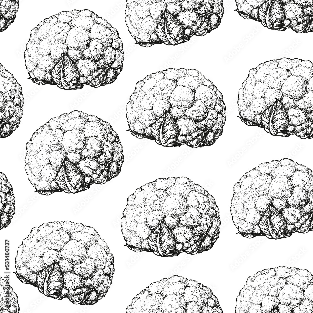 Cauliflower seamless pattern. Hand drawn background. Vector ...