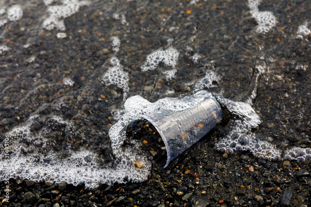 On the seashore there is a plastic cup half filled with water and small ...