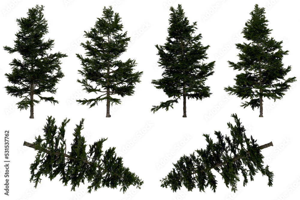 3d rendering of Larix Decidua PNG vegetation tree for compositing or ...